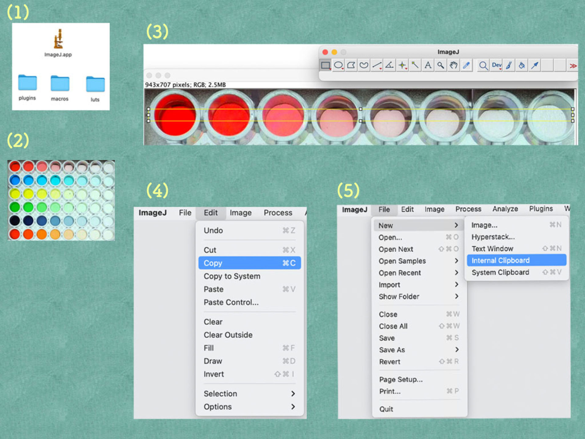 ImageJを用いた呈色反応モデル画像の数値化〜自宅でできる簡単な研究(FR-1.3) | 定年退職、有り余る自由時間に何をしよう