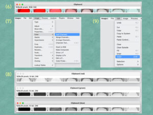 ImageJを用いた呈色反応モデル画像の数値化〜自宅でできる簡単な研究(FR-1.3) | 定年退職、有り余る自由時間に何をしよう