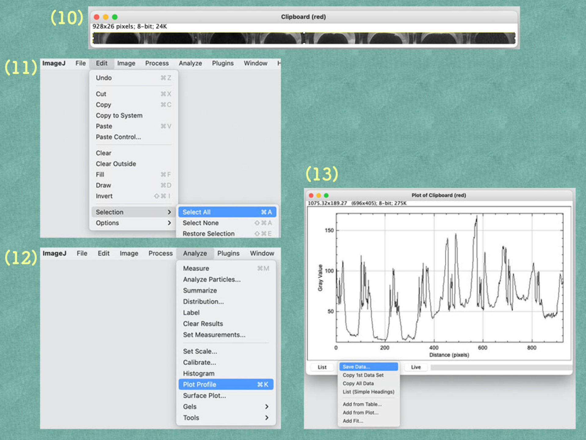 ImageJを用いた呈色反応モデル画像の数値化〜自宅でできる簡単な研究(FR-1.3) | 定年退職、有り余る自由時間に何をしよう