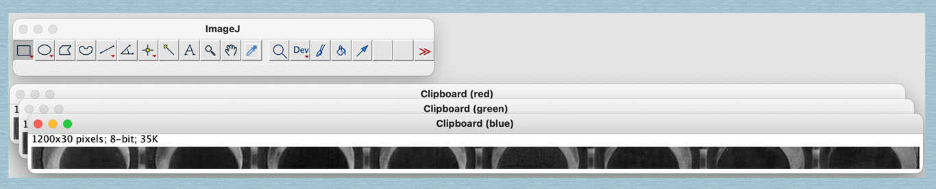 呈色反応モデル画像の数値化をImageJのマクロで自動化〜自宅でできる簡単な研究(FR-1.4) | 定年退職、有り余る自由時間に何をしよう