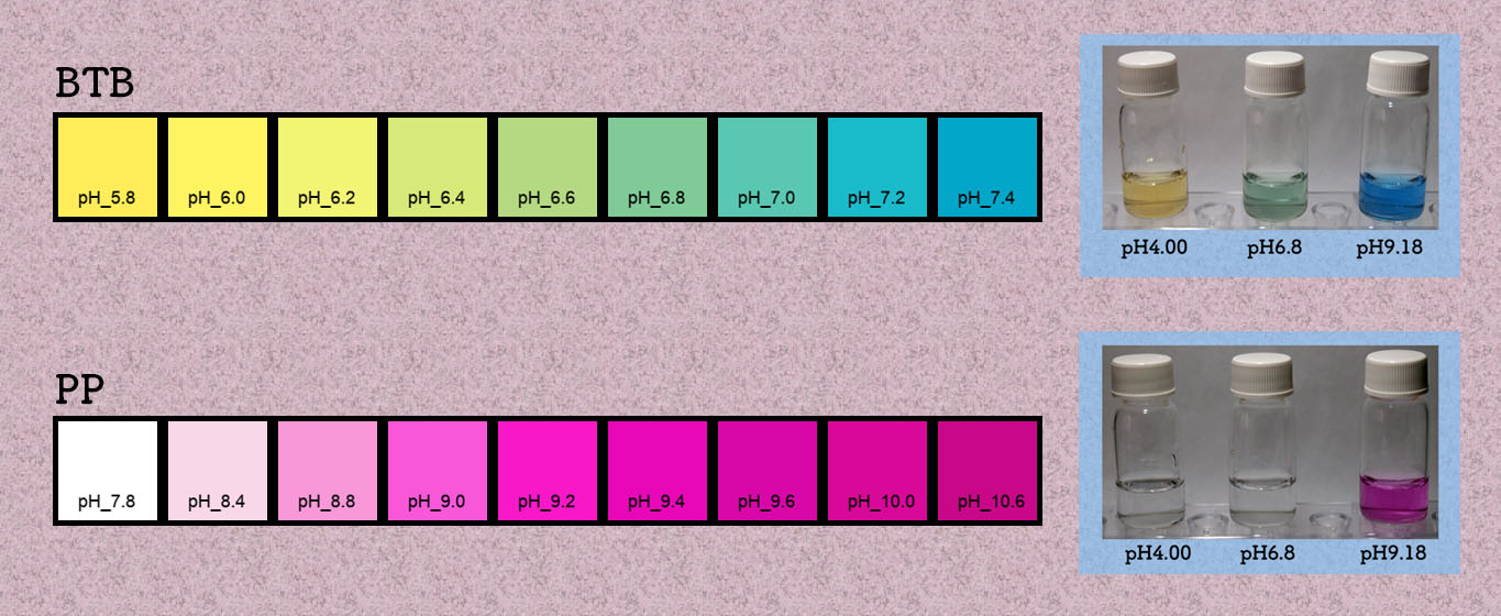 Pythonを使ってRGB値のデータから色画像を自動作成〜自宅でできる簡単な研究(FR-4.2) | 定年退職、有り余る自由時間に何をしよう